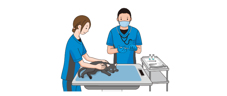 ピュアバックス® RCP 概要・特徴 | ベーリンガー | 飼い主さま向け製品情報サイト